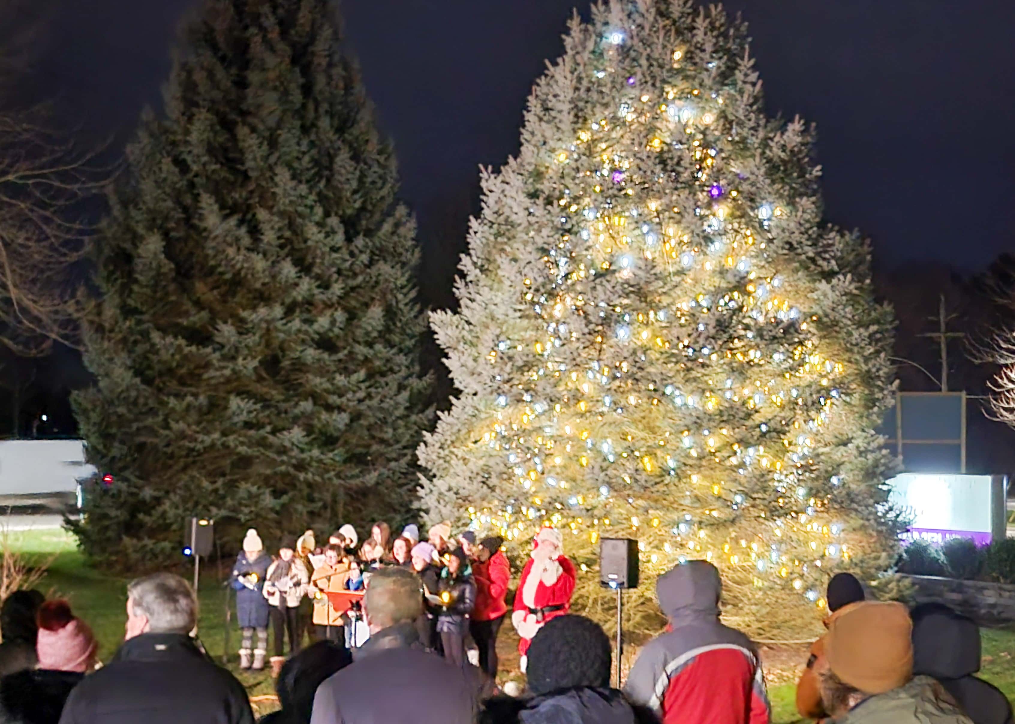 CK residents invited to Wish Tree lighting ceremonies