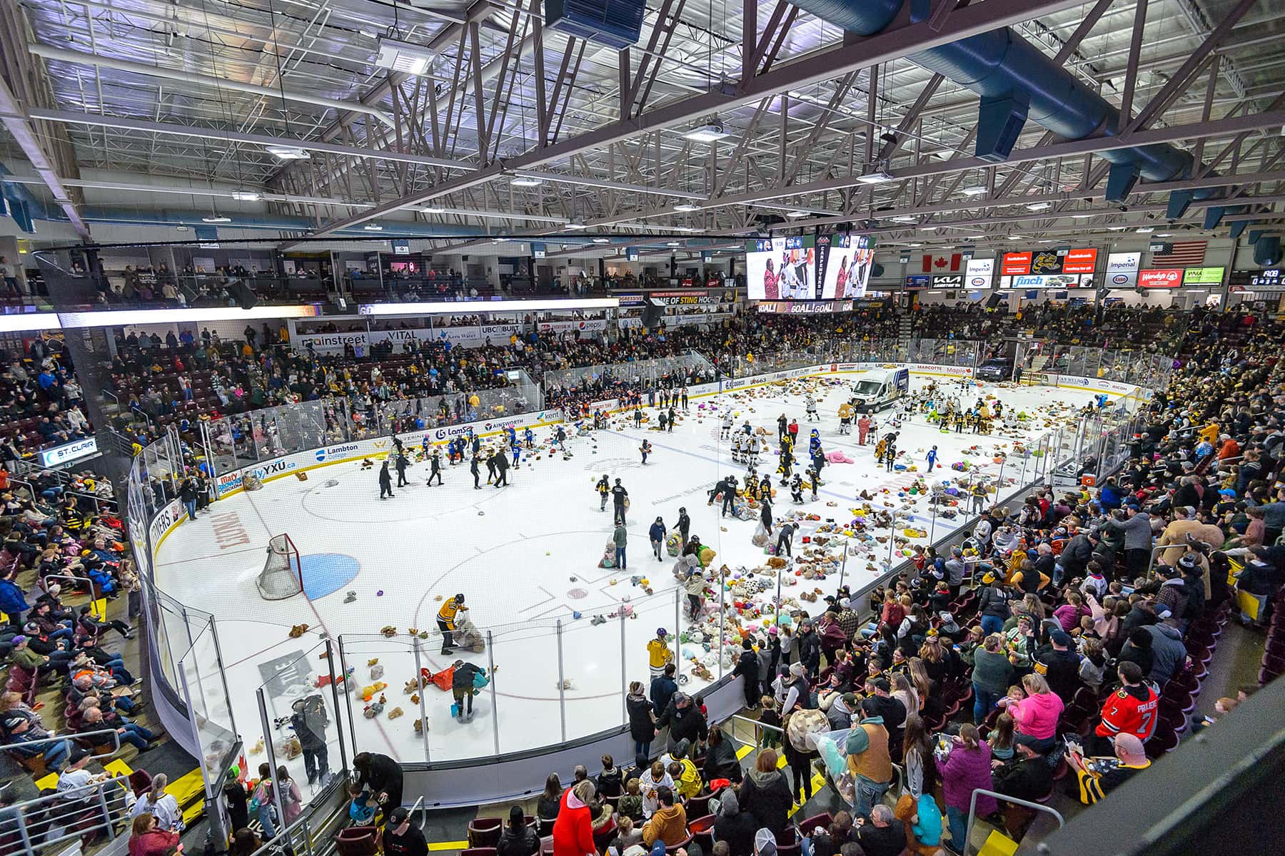 Teddy Bear Toss victory snaps Sarnia Sting losing skid